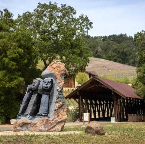 Lunch and Wine Tasting at Halter Ranch Vineyard Estate, Paso Robles ...